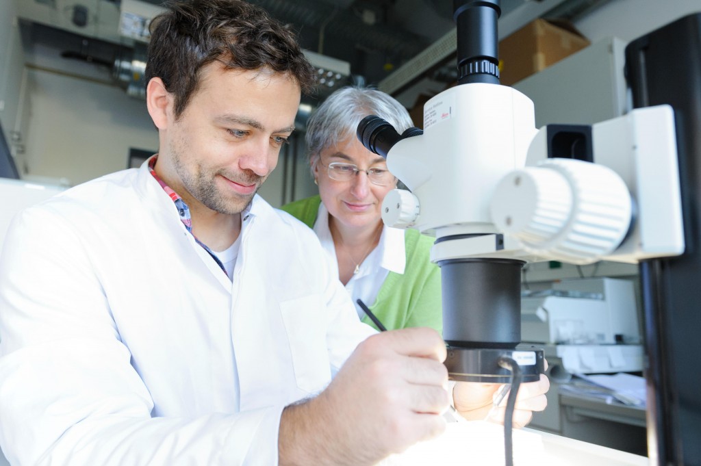 Pflanzenextrakt bietet Hoffnung für Motoneuronenerkrankung - Initiative ...